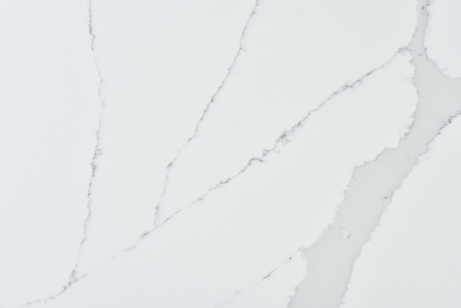 Albastera | SilkSurface